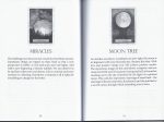 Universal Love Oracle | Review | The Queen's Sword